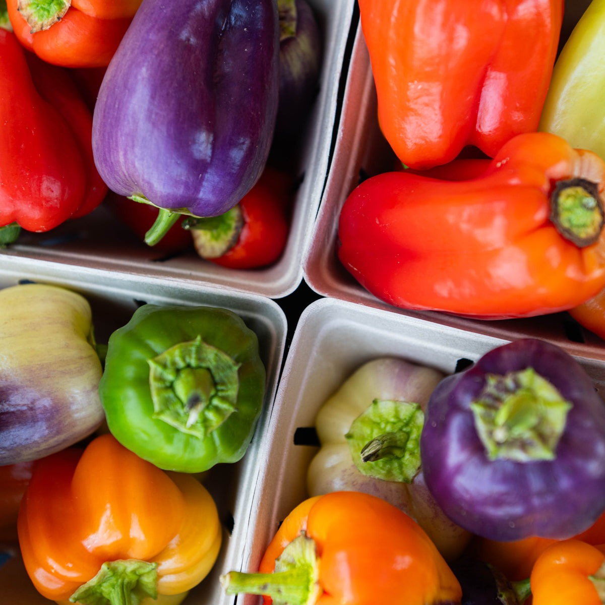 Newcastle Produce
